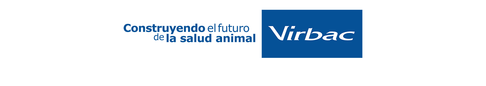 El Sur de Chile se Actualiza en Dermatología Veterinaria de la Mano de ...